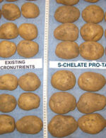 S-Chelate Plant Nutrition | Micronutrients Supercharging Plant Growth