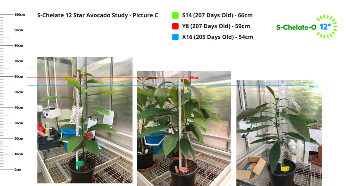 S-Chelate Plant Nutrition | Micronutrients Supercharging Plant Growth